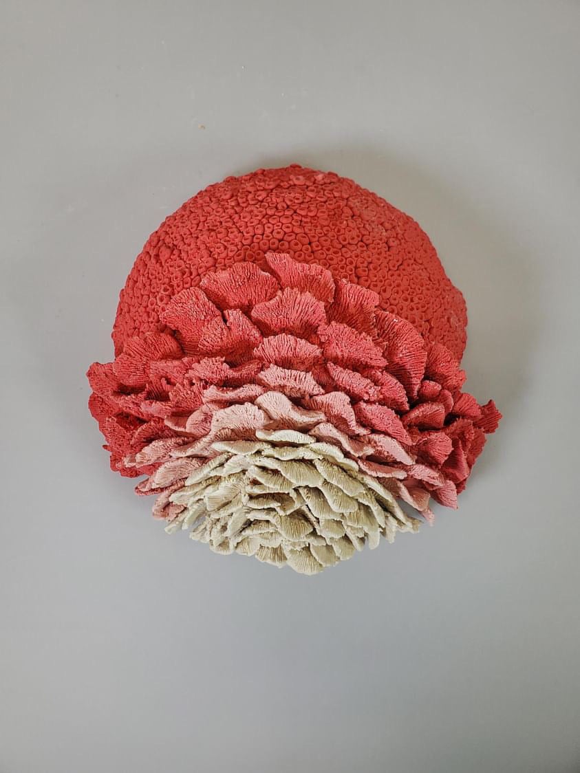 Mycelial | Calm Waters Pottery